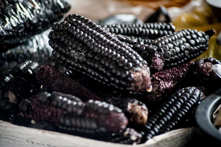 Blue Corn Tortillas Recipe + VIDEO - Maricruz Avalos Kitchen Blog