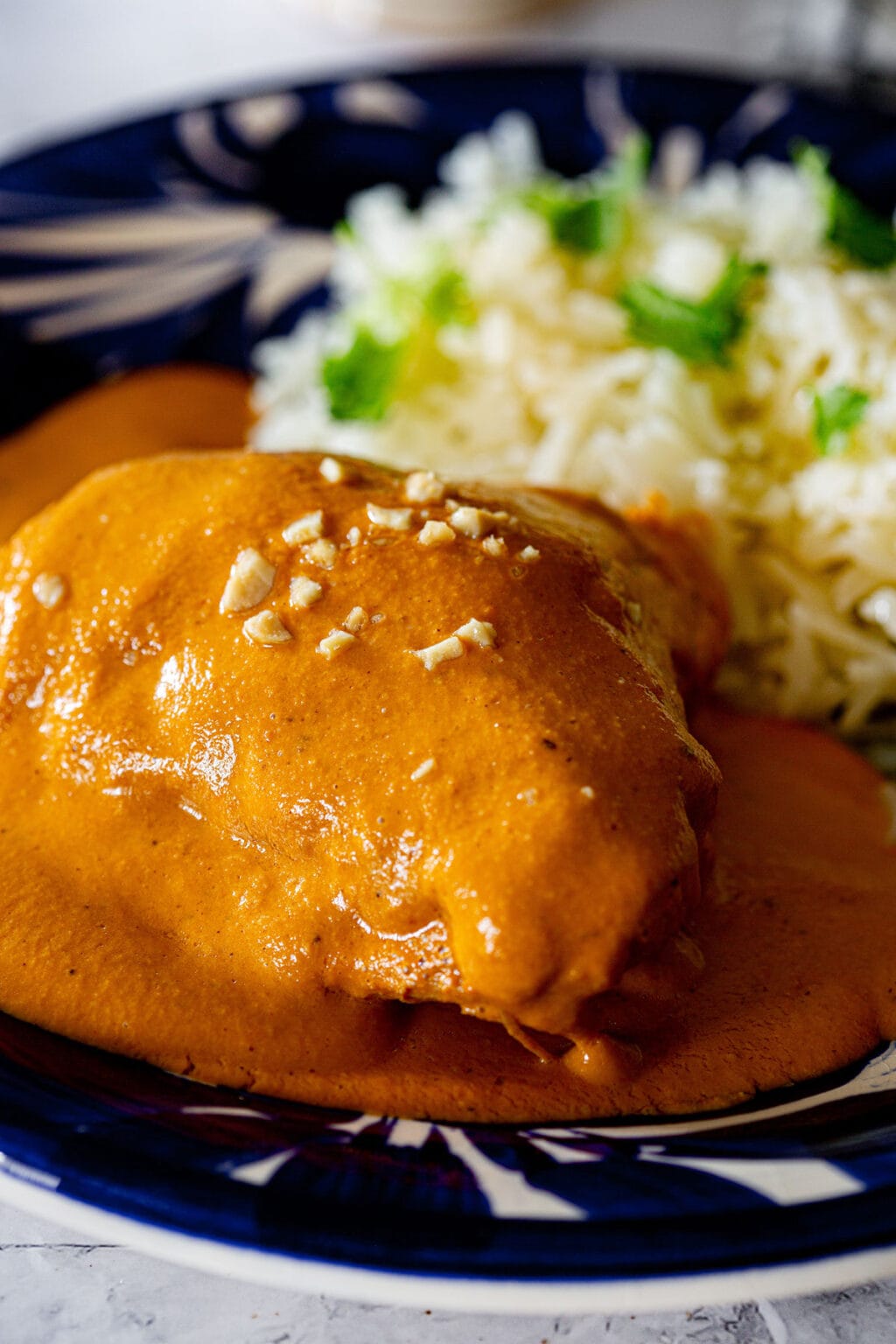 Encacahuatado (Chicken With Peanut Sauce)